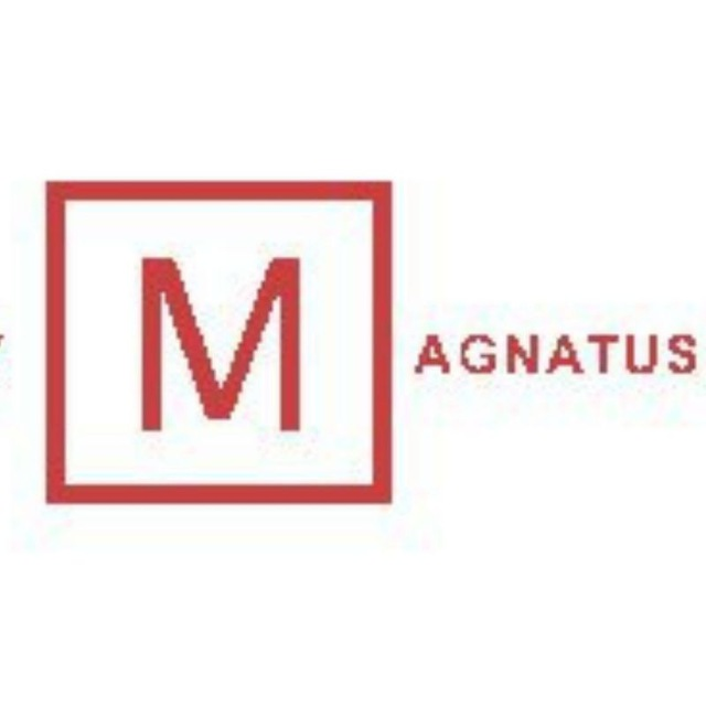 Magnatus Com обменник : отзывы юзеров о работе валютника 📉 Работать ли ...