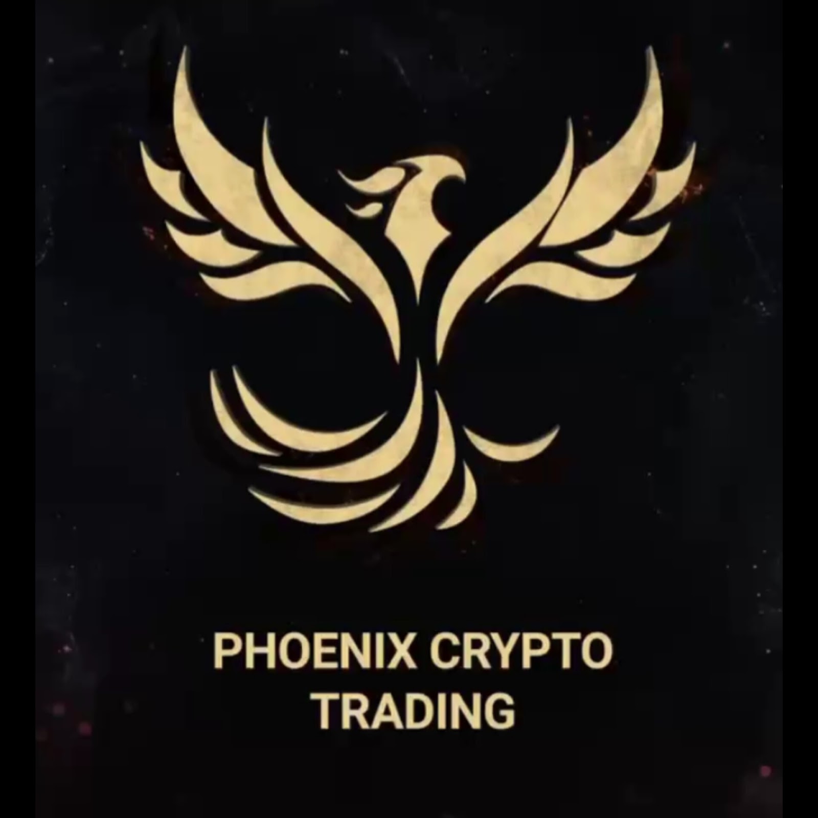 Phoenix Trading Отзывы пользователей о Телеграмм трейдере 📉 Работать ли ...